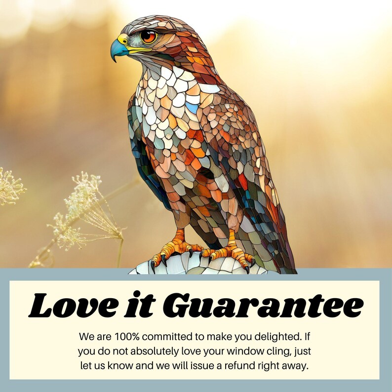 Coopers Hawk Window Cling Sticker Decal Window Film Gift for Bird ...