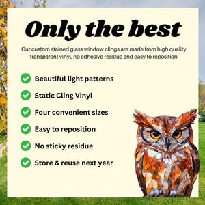 Eastern Screech Owl Window Cling Sticker Decal Window Film Gift for ...
