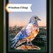Mourning Dove Window Cling Sticker Decal Window Film Gift for Bird ...