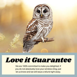 Barred Owl Window Cling Sticker Decal Window Film Gift for Bird Lovers ...