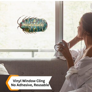 Giant Isopod Window Cling Stained Glass Look Decal Sticker Window Film ...