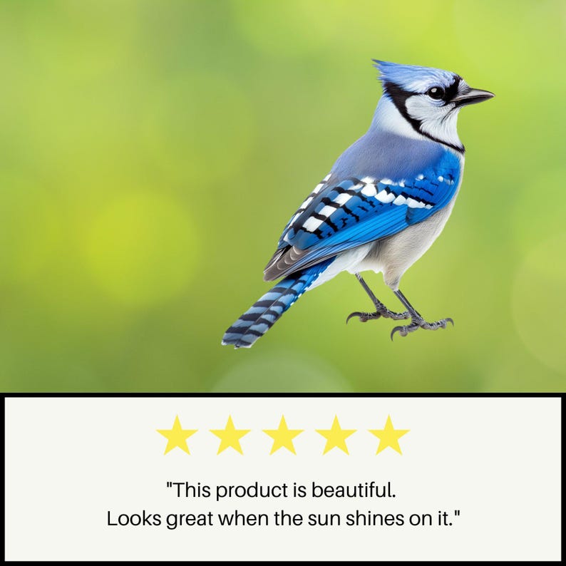 Blue Jay Window Cling Sticker Decal Window Film Gift for Bird Lovers ...