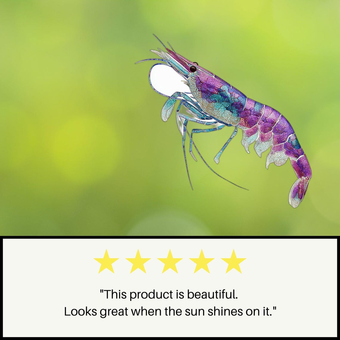 Cleaner Shrimp Window Cling Stained Glass Look Decal Sticker Window ...