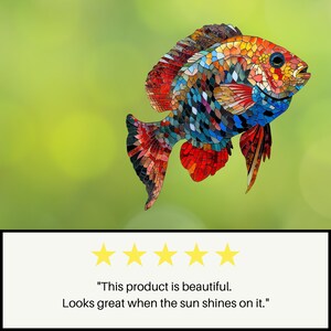 Flowerhorn Cichlid Stained Glass Window Cling Window Sticker Decal No ...