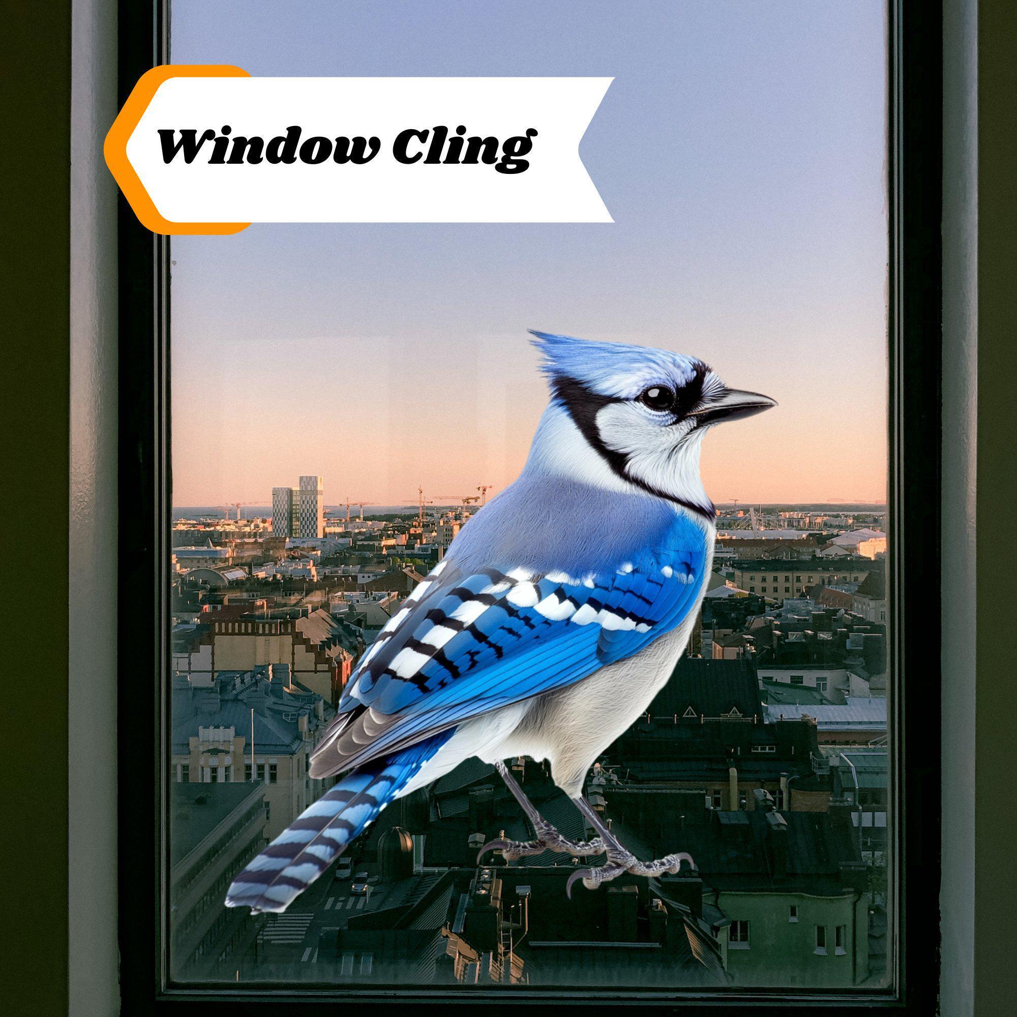 Blue Jay Window Cling Sticker Decal Window Film Gift for Bird Lovers ...