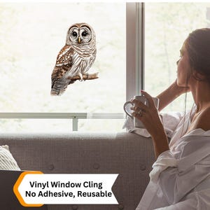 Barred Owl Window Cling Sticker Decal Window Film Gift for Bird Lovers ...