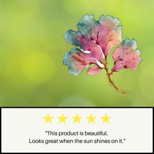 Coralline Algae Window Cling Stained Glass Look Decal Sticker Window ...