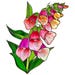 Foxglove Stained Glass Window Cling Beautiful Flower Window Artwork ...