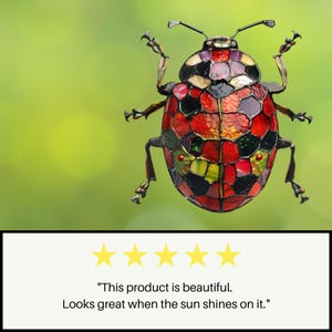 Harlequin Ladybug Stained Glass Window Cling Sticker Decal Vinyl Window ...