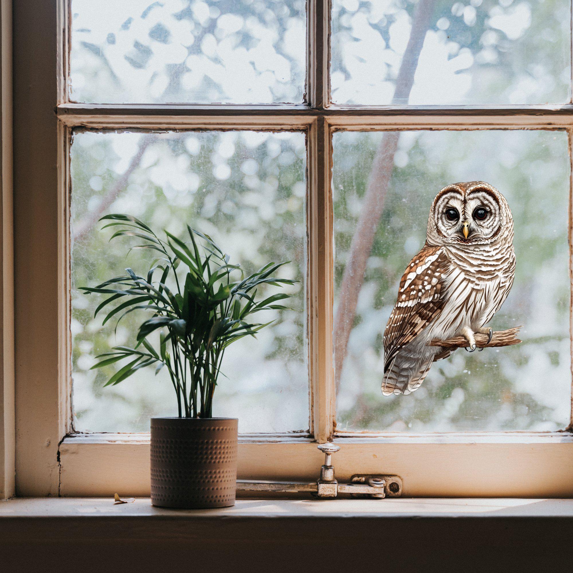 Barred Owl Window Cling Sticker Decal Window Film Gift for Bird Lovers ...
