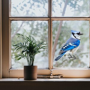 Blue Jay Window Cling Sticker Decal Window Film Gift for Bird Lovers ...