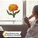 Marigold Stained Glass Window Cling Beautiful Flower Window Artwork ...