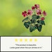 Cyclamen Stained Glass Window Cling Beautiful Flower Window Artwork ...