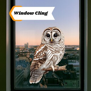 Barred Owl Window Cling Sticker Decal Window Film Gift for Bird Lovers ...