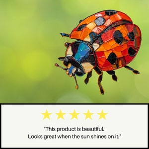 Harlequin Ladybug Adorable Stained Glass Window Cling Sticker Decal ...