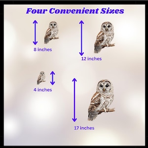 Barred Owl Window Cling Sticker Decal Window Film Gift for Bird Lovers ...