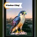 Peregrine Falcon Window Cling Sticker Decal Window Film Gift for Bird ...