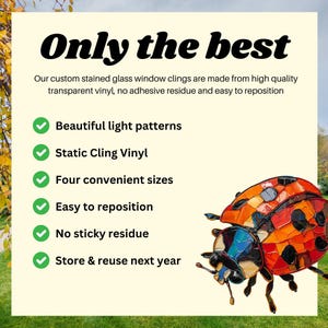 Harlequin Ladybug Adorable Stained Glass Window Cling Sticker Decal ...