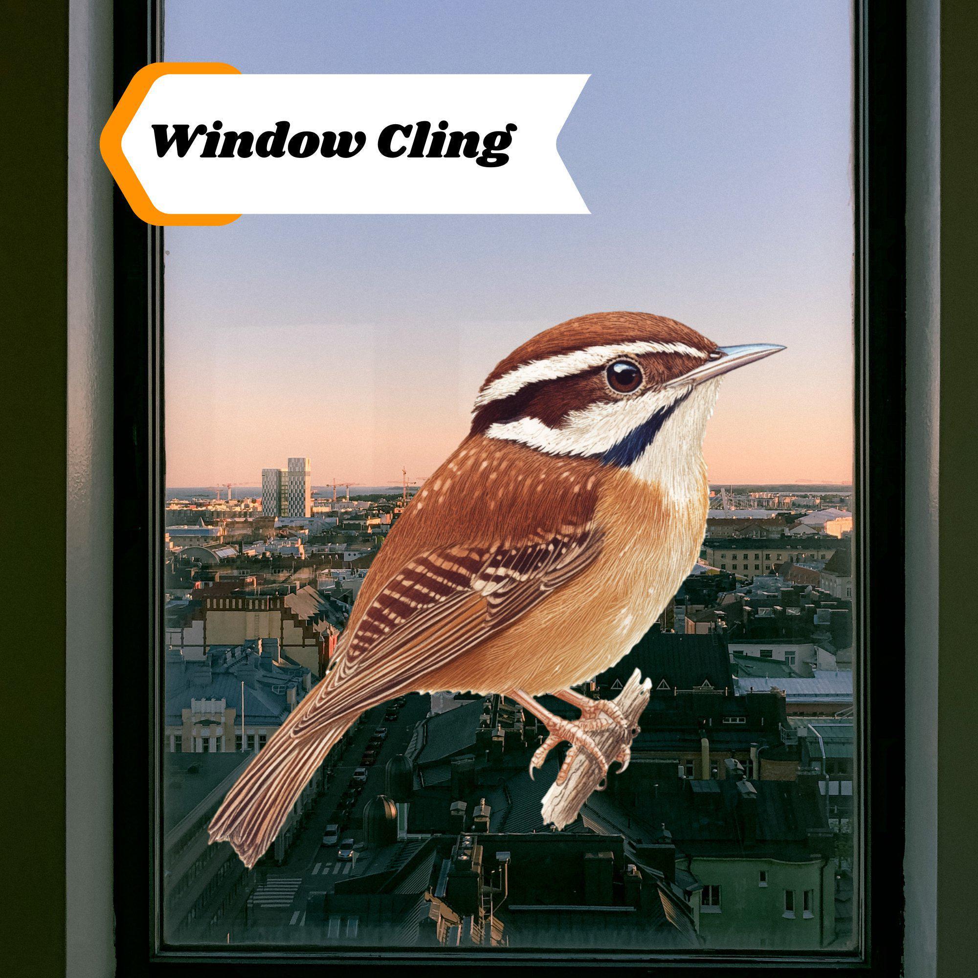 Carolina Wren Window Cling Sticker Decal Window Film Gift for Bird ...