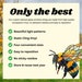 Bumblebee Stained Glass Window Cling Decal Sticker Window Film Reusable ...