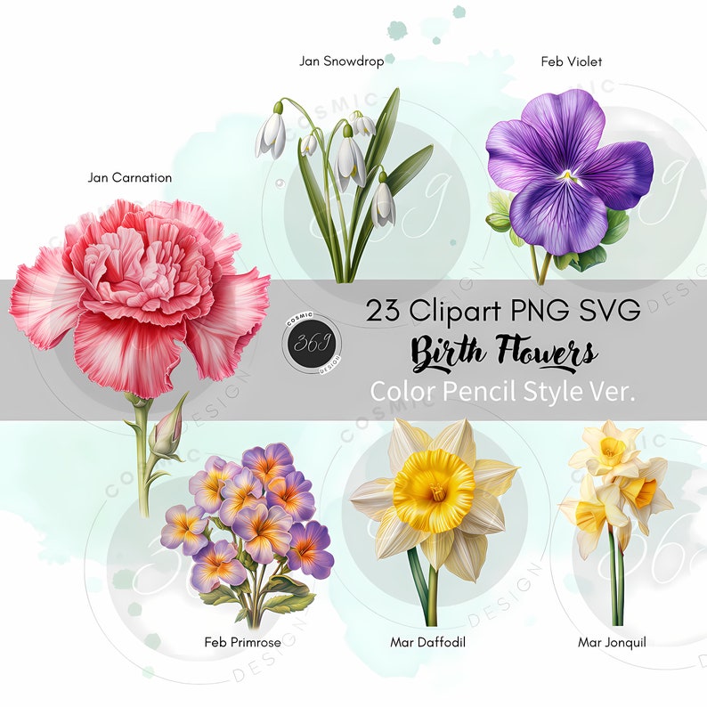 Birthflower Clipart Bundle 23 Birth Month Flower PNG SVG for Personal ...