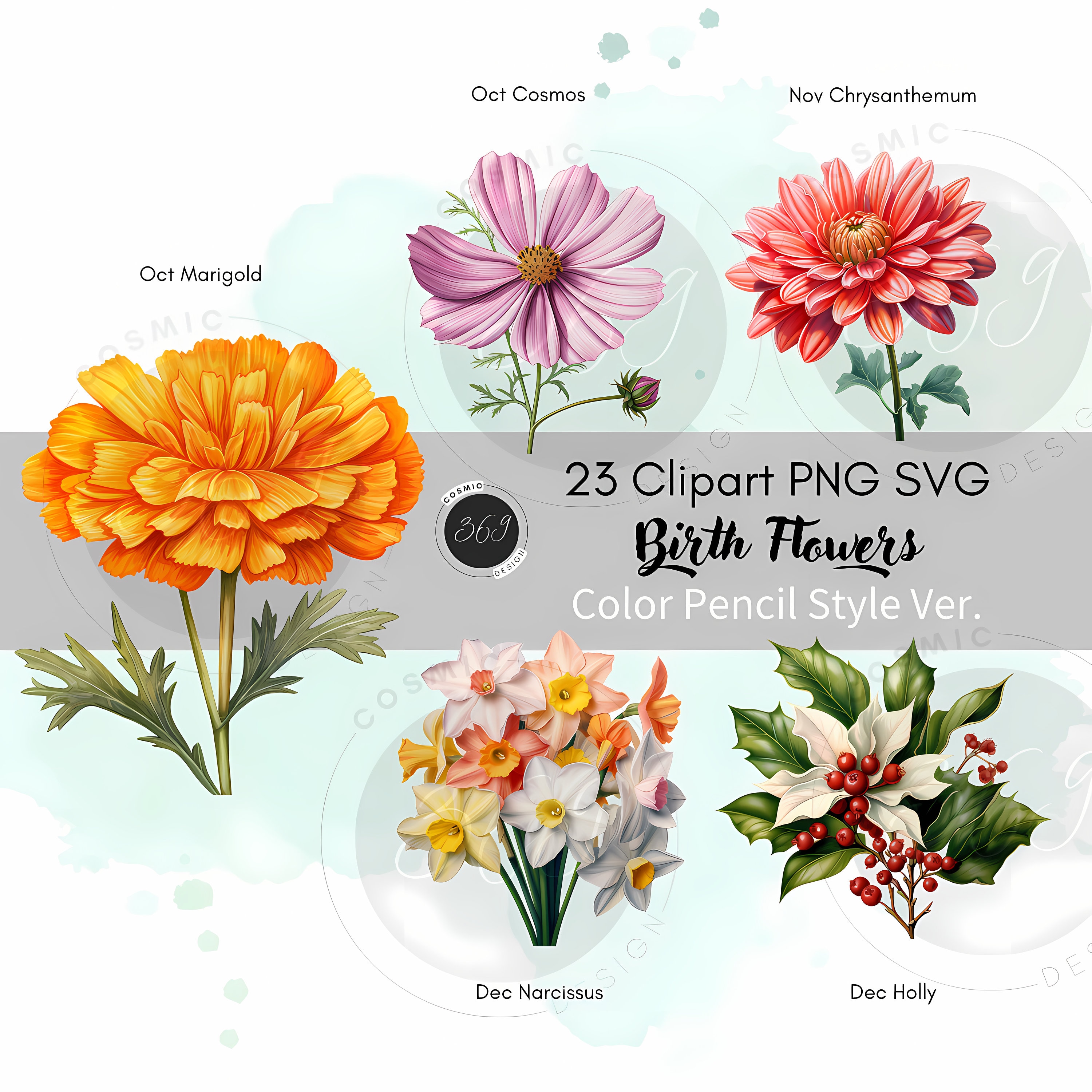 Birthflower Clipart Bundle 23 Birth Month Flower PNG SVG for Personal ...