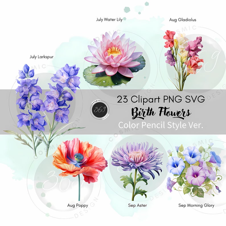 Birthflower Clipart Bundle 23 Birth Month Flower PNG SVG for Personal ...