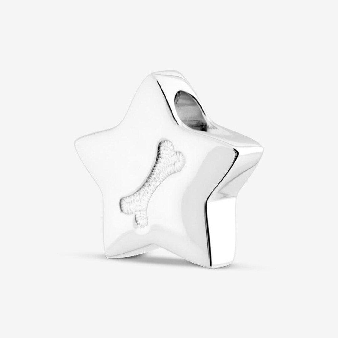Self-fill Dog Bone Star Memorial Ashes Pendant - Etsy