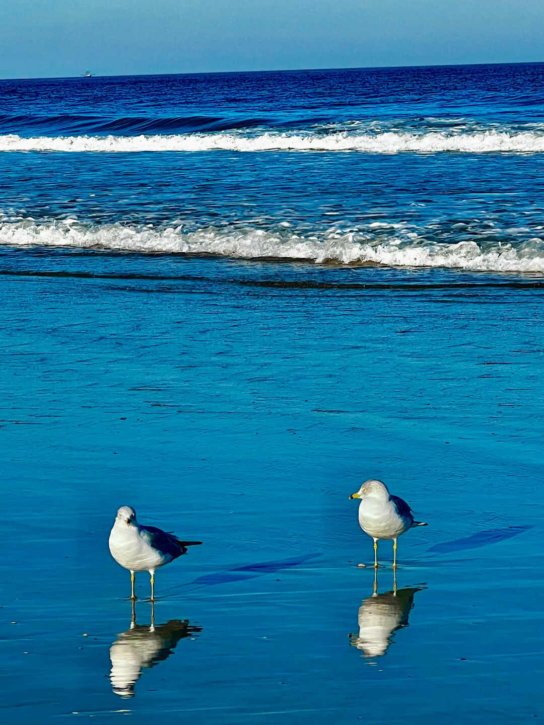 Sample Photos - Etsy