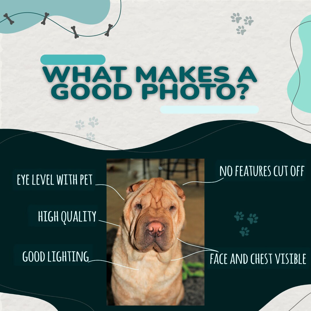 Printable Digital Custom Pet Coloring Page - Etsy