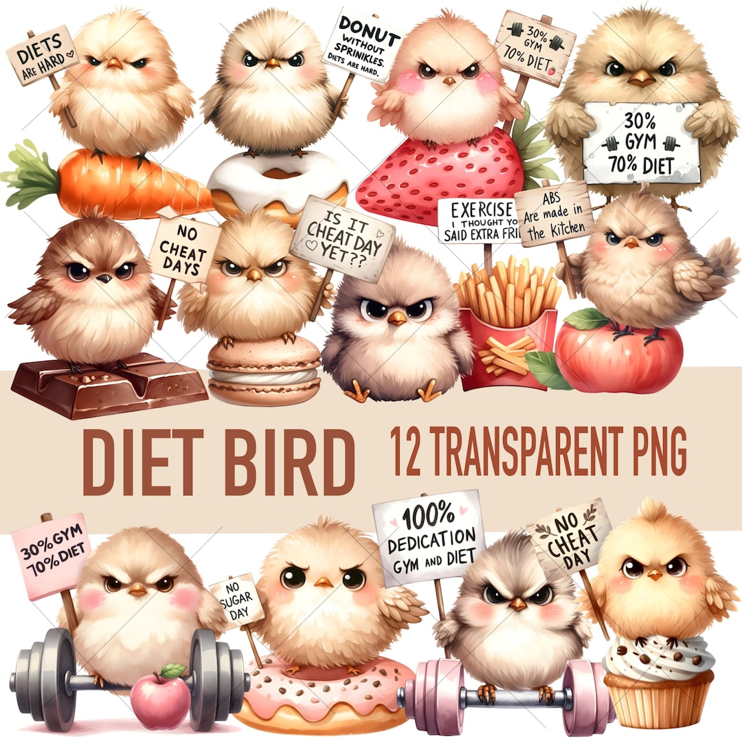 Angry Diet Bird PNG Transparent Clipart, Healthy Weight Loss Dieting ...