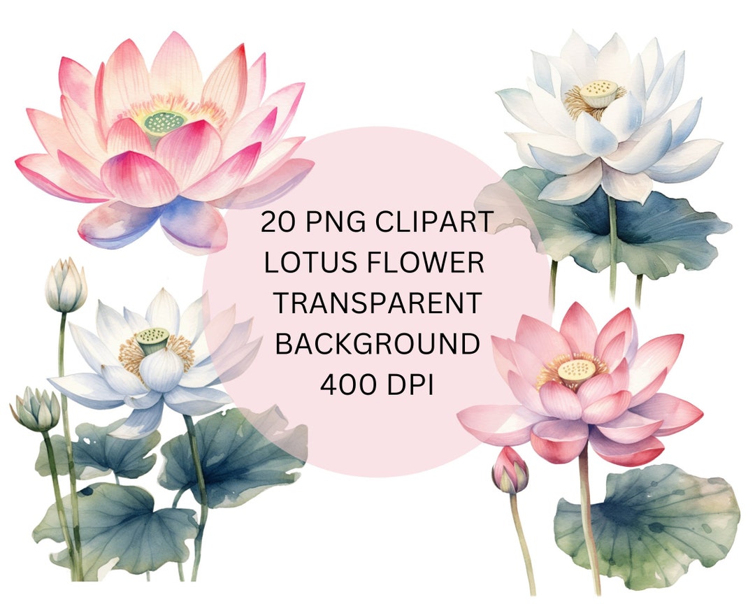 20 Imágenes Prediseñadas de flor de loto transparente en el - Etsy España