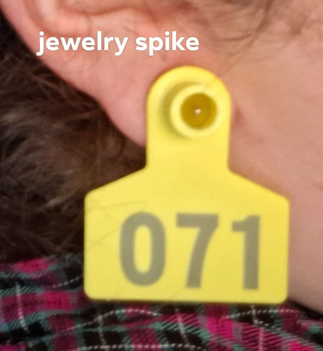 Livestock Tag / Cow Tag Stud Earring single Earring - Etsy