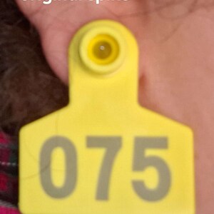 Livestock Tag / Cow Tag Stud Earring single Earring - Etsy