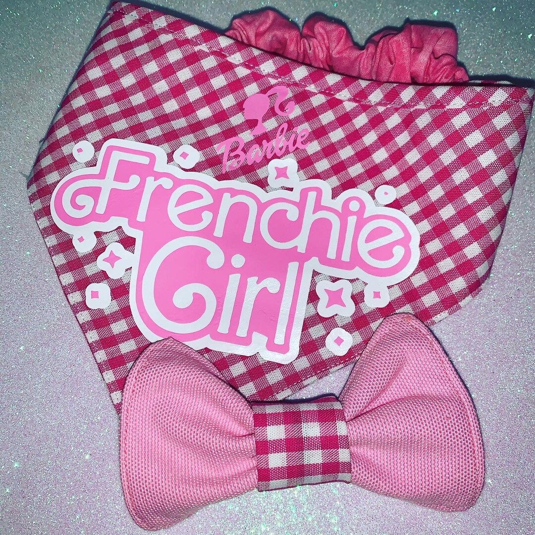 2 PC BARBIE “frenchie Girl” Bandana & Bow-band Set! - Etsy