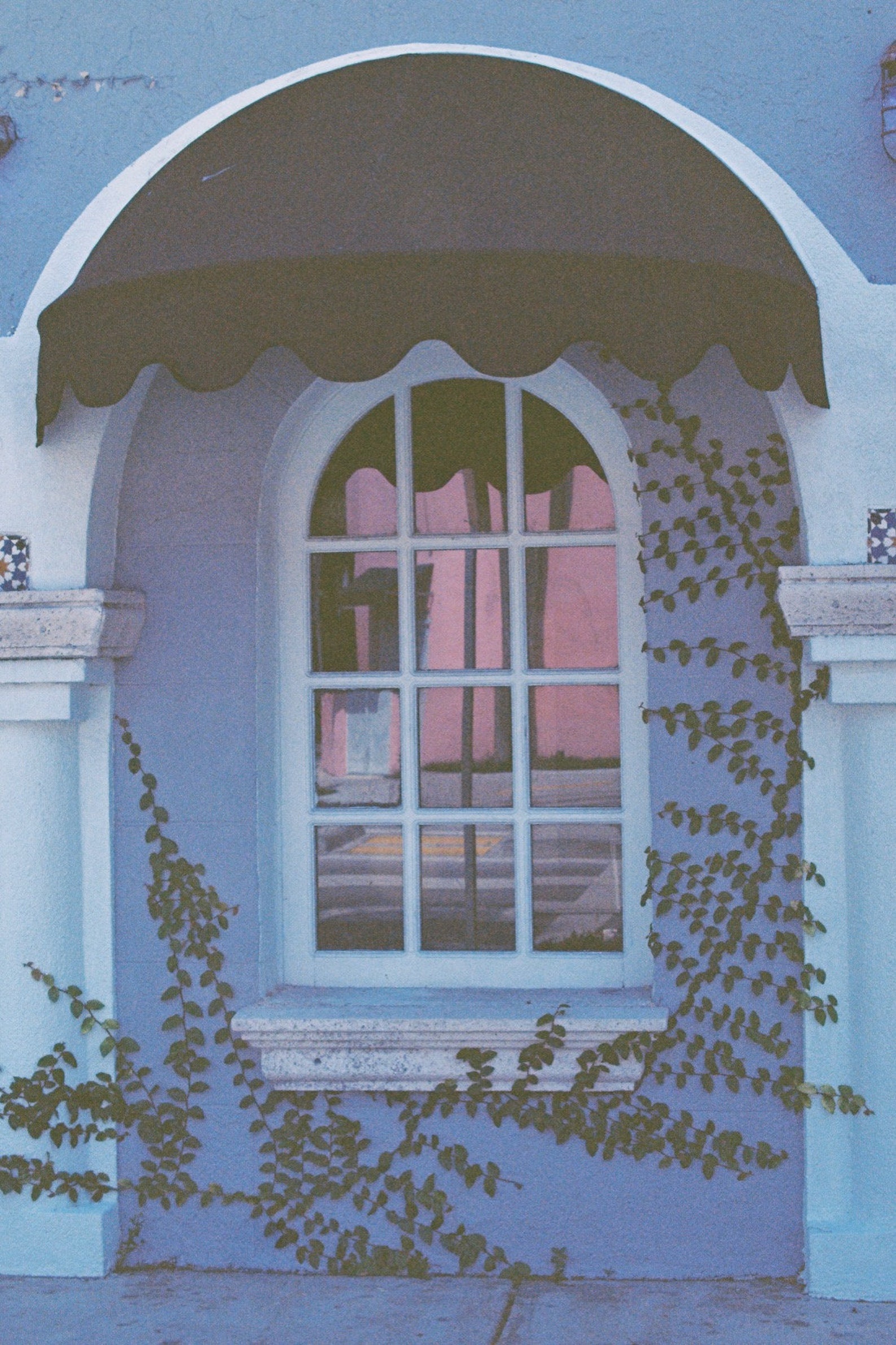 Print Made From Film Photo - Etsy