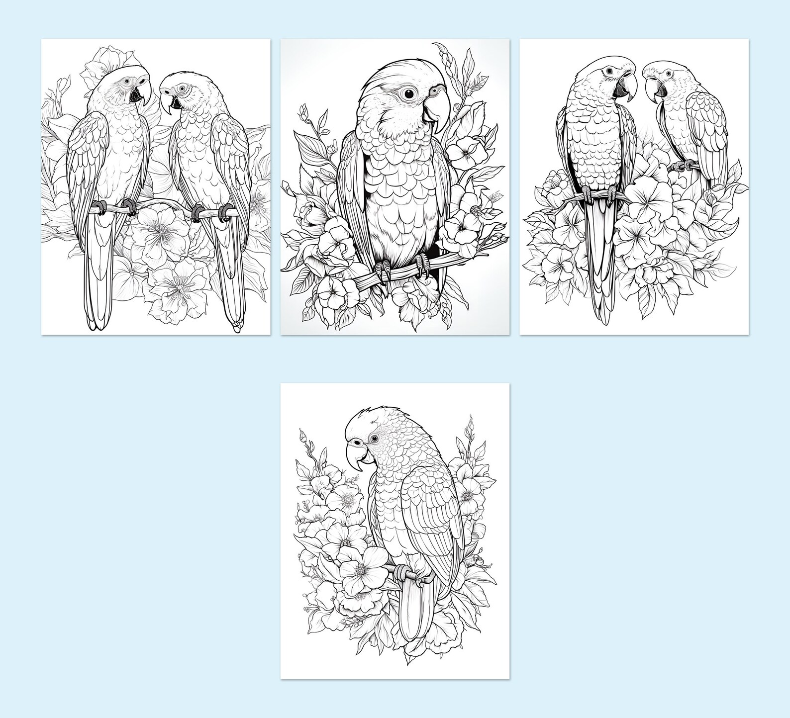Parrots Flowers Cute Birds Coloring Book Adults Kids Activity Pages ...