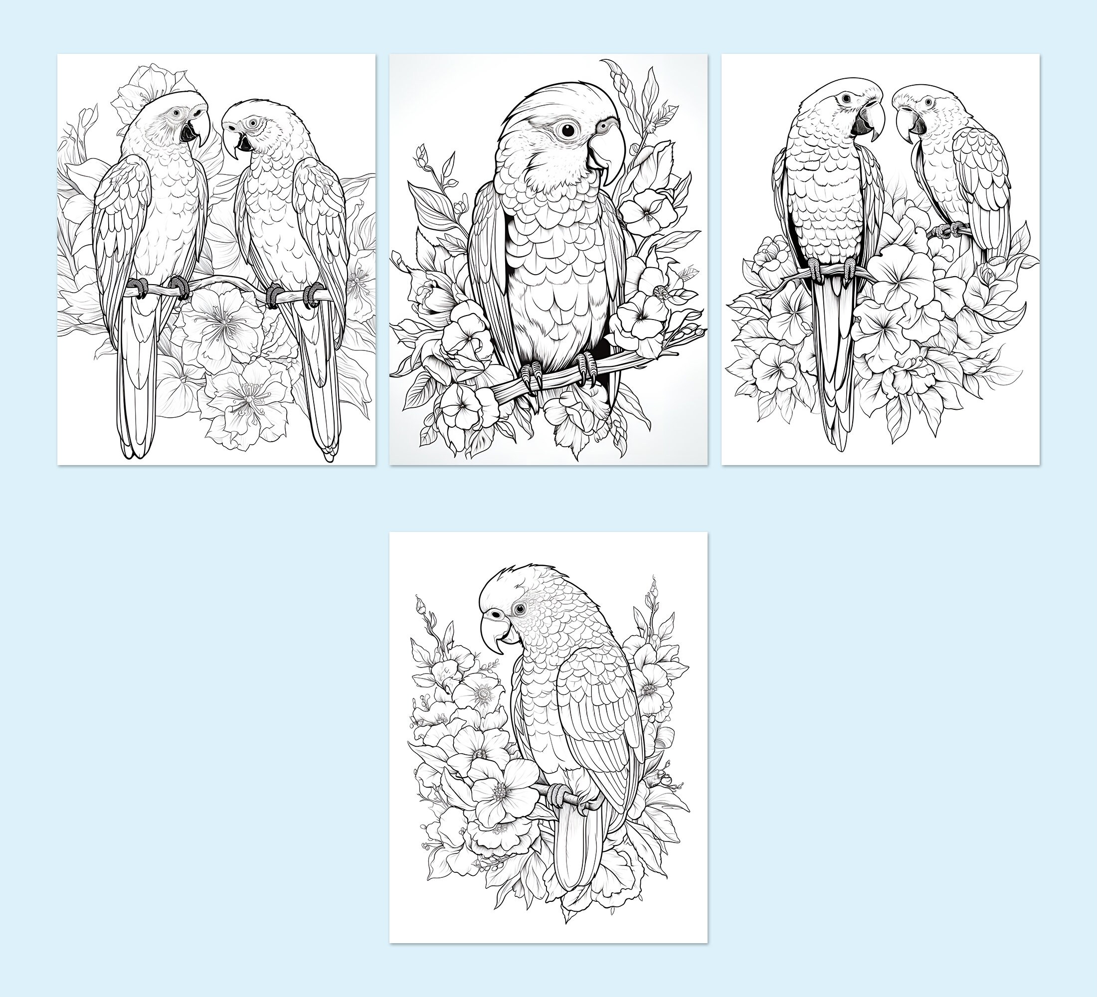 Parrots Flowers Cute Birds Coloring Book Adults Kids Activity Pages ...