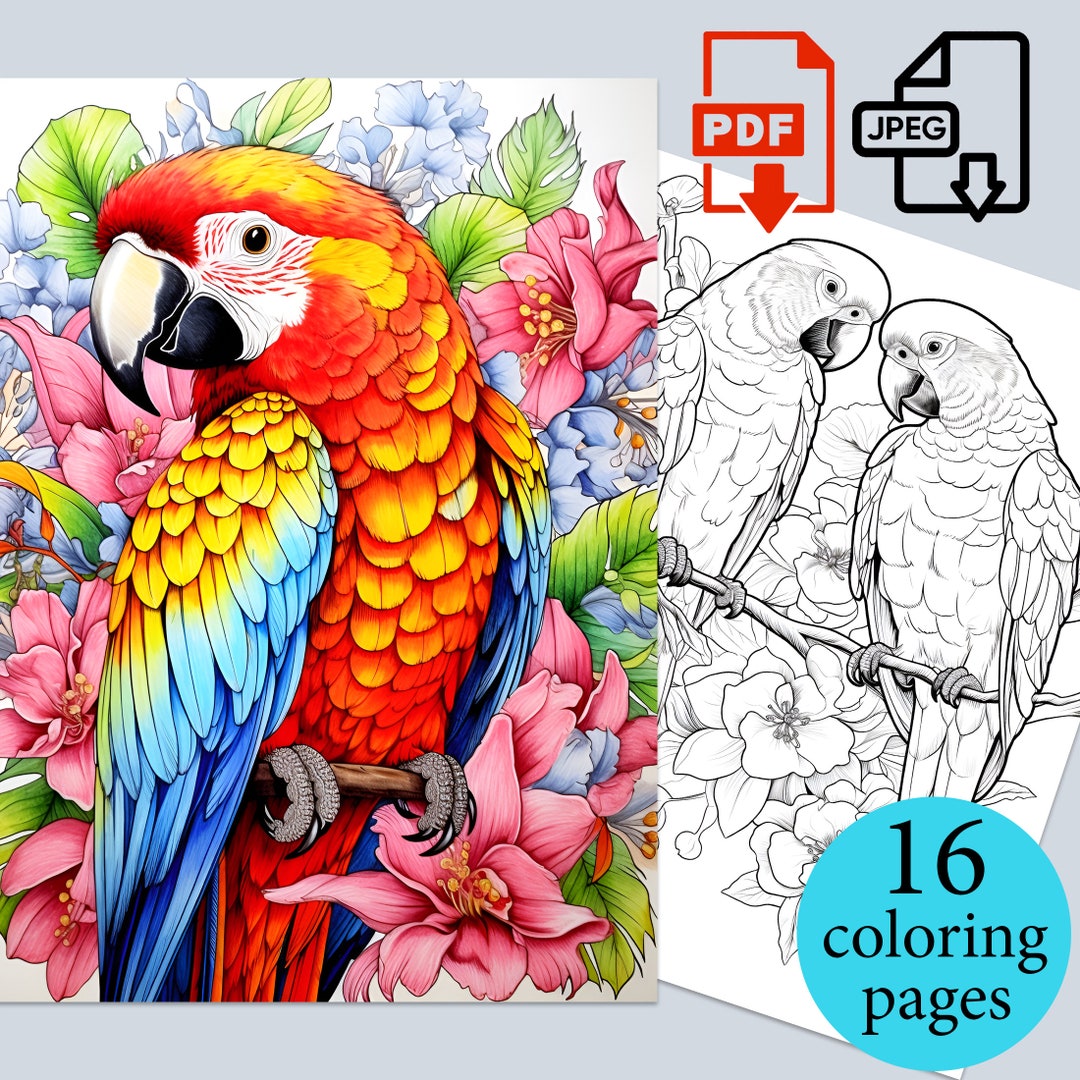Parrots Flowers Cute Birds Coloring Book Adults Kids Activity Pages ...