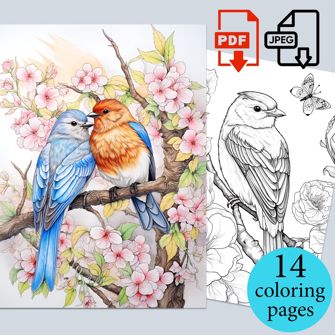 Cute Garden Birds Coloring Book Adults Kids Relaxation Activity Pages ...