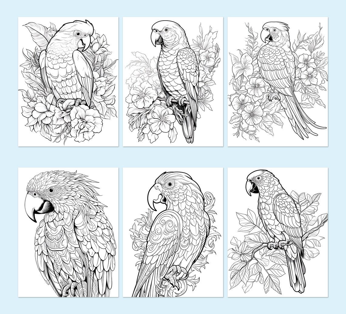 Parrots Flowers Cute Birds Coloring Book Adults Kids Activity Pages ...