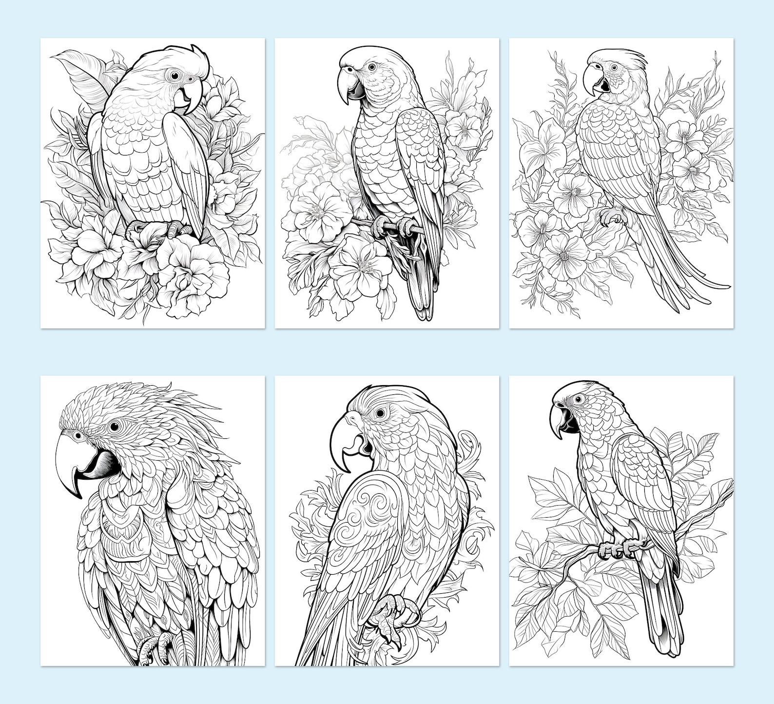 Parrots Flowers Cute Birds Coloring Book Adults Kids Activity Pages ...