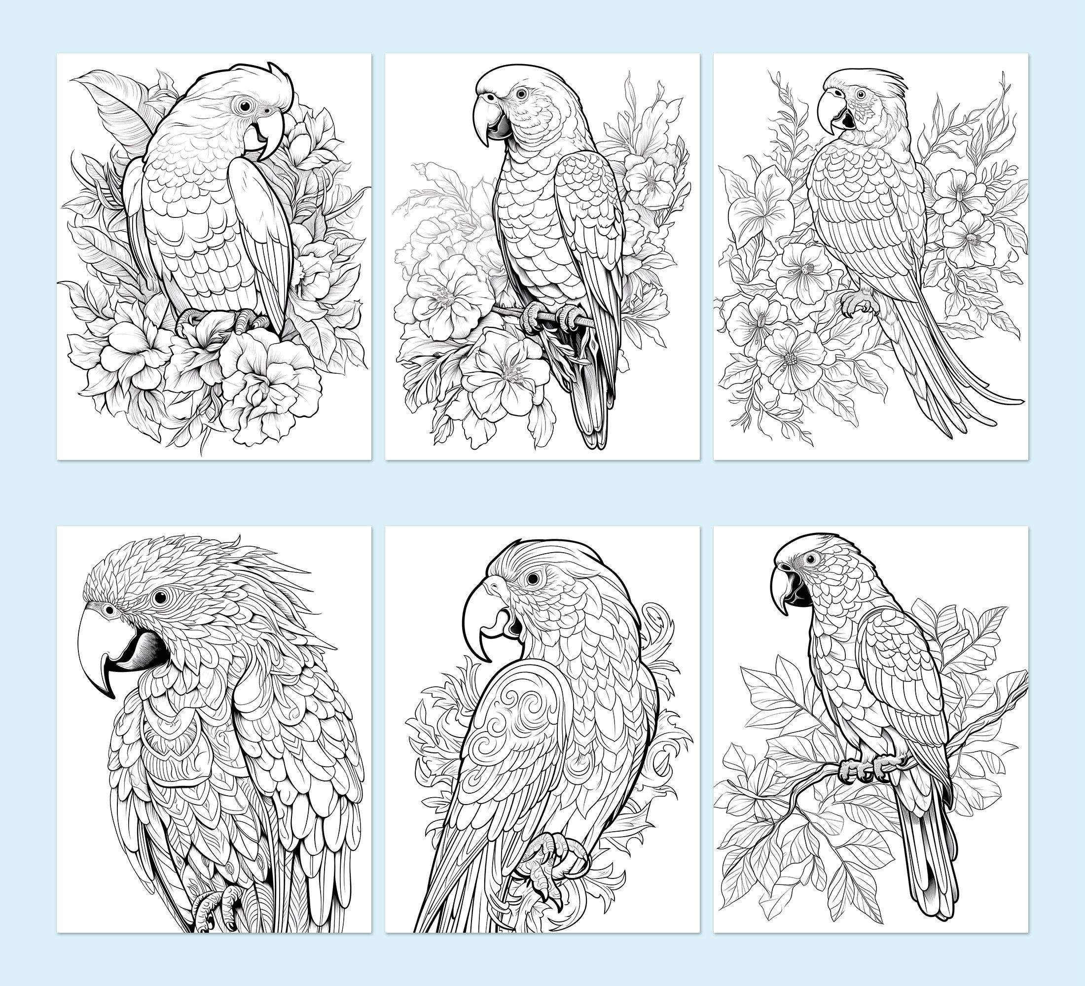 Parrots Flowers Cute Birds Coloring Book Adults Kids Activity Pages ...