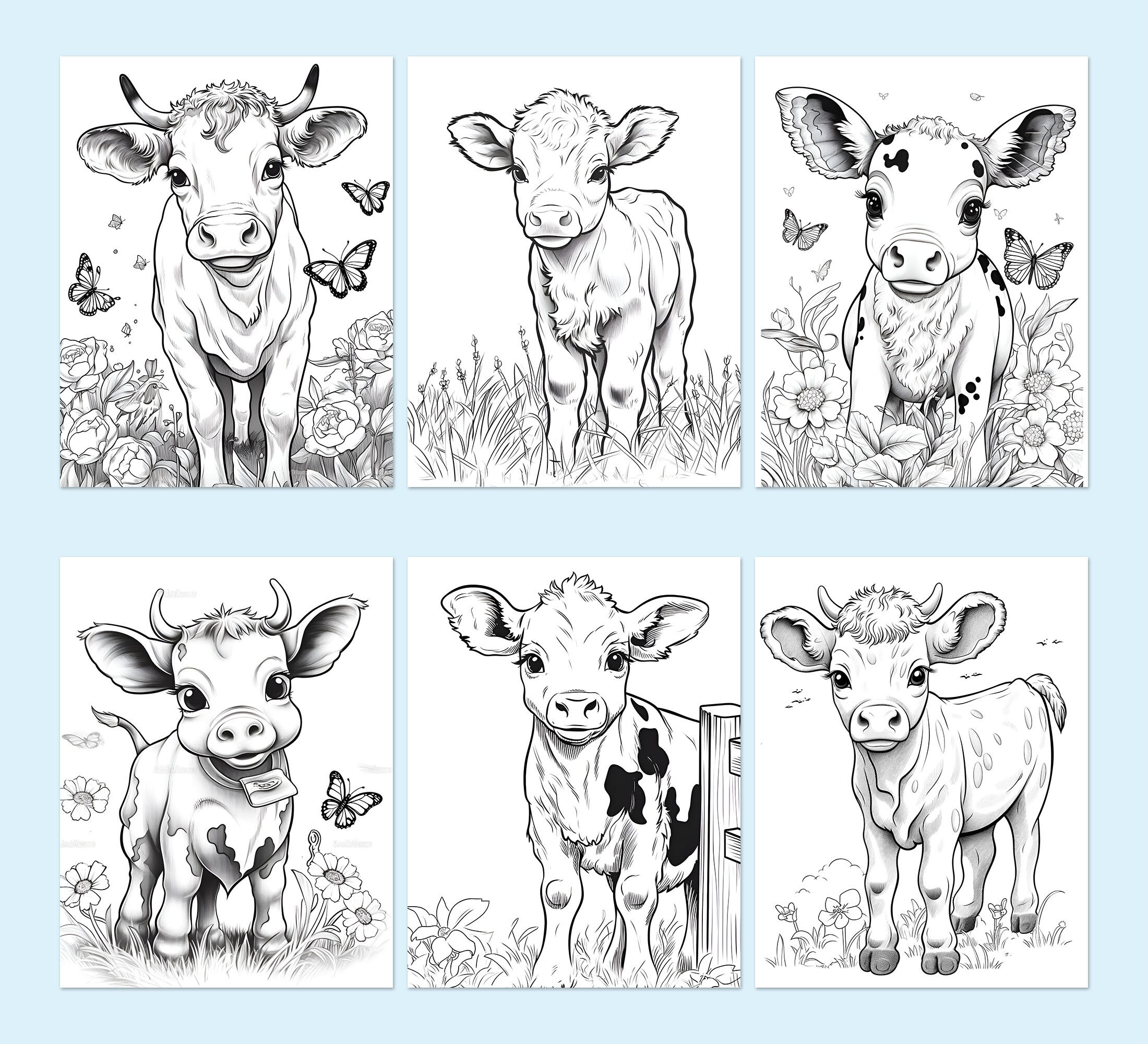 Baby Cow Coloring Pages Kids Activity Books Farm Animal Toddler ...
