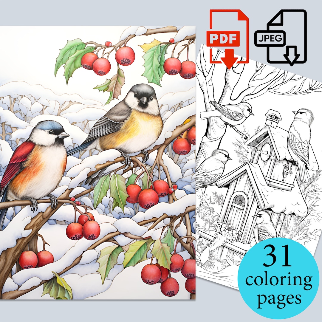 Cute Winter Birds Coloring Book Adults Kids Pages Relaxation Christmas ...