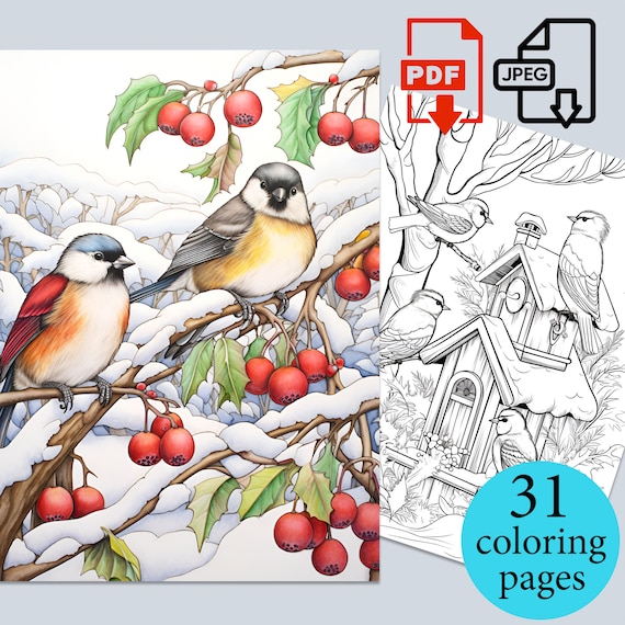 Birds In Winter Coloring Pages