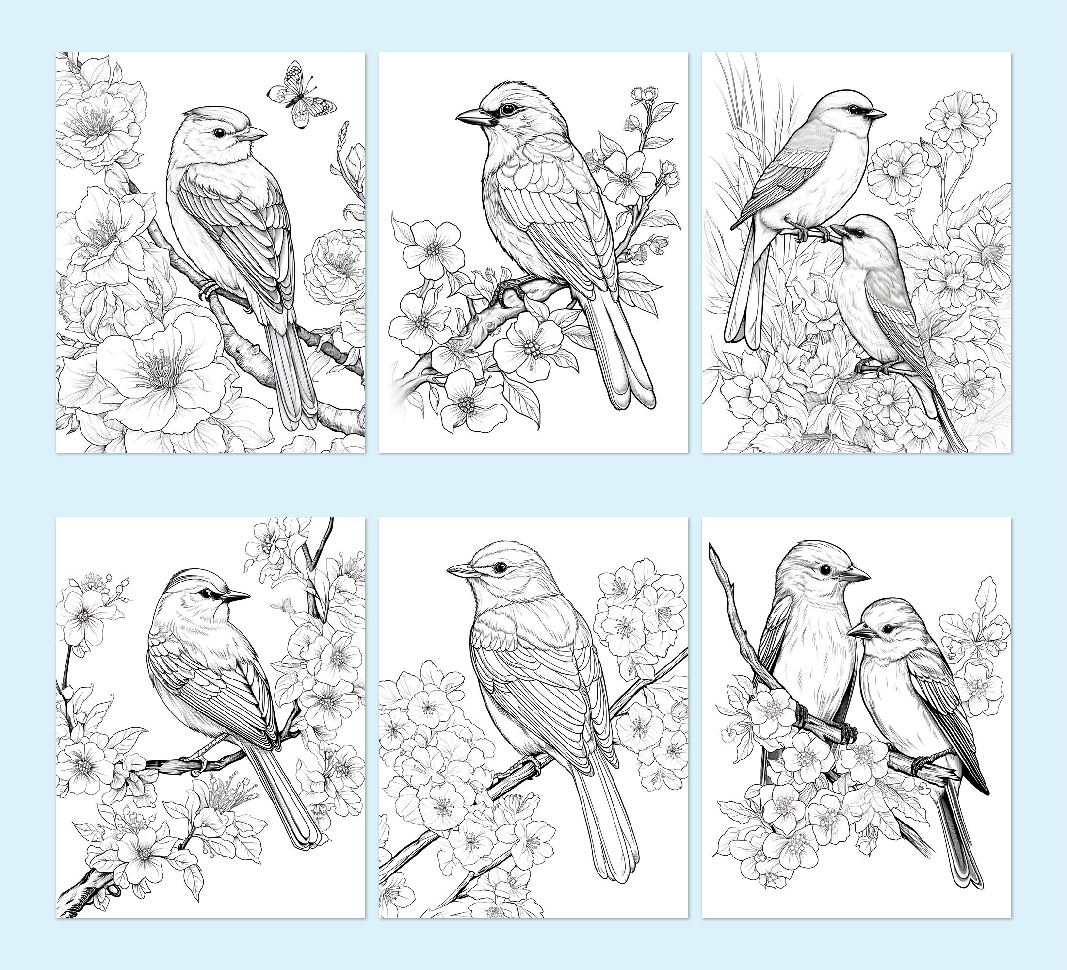 Cute Garden Birds Coloring Book Adults Kids Relaxation Activity Pages ...
