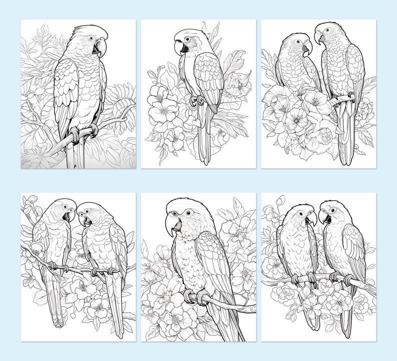 Parrots Flowers Cute Birds Coloring Book Adults Kids Activity Pages ...