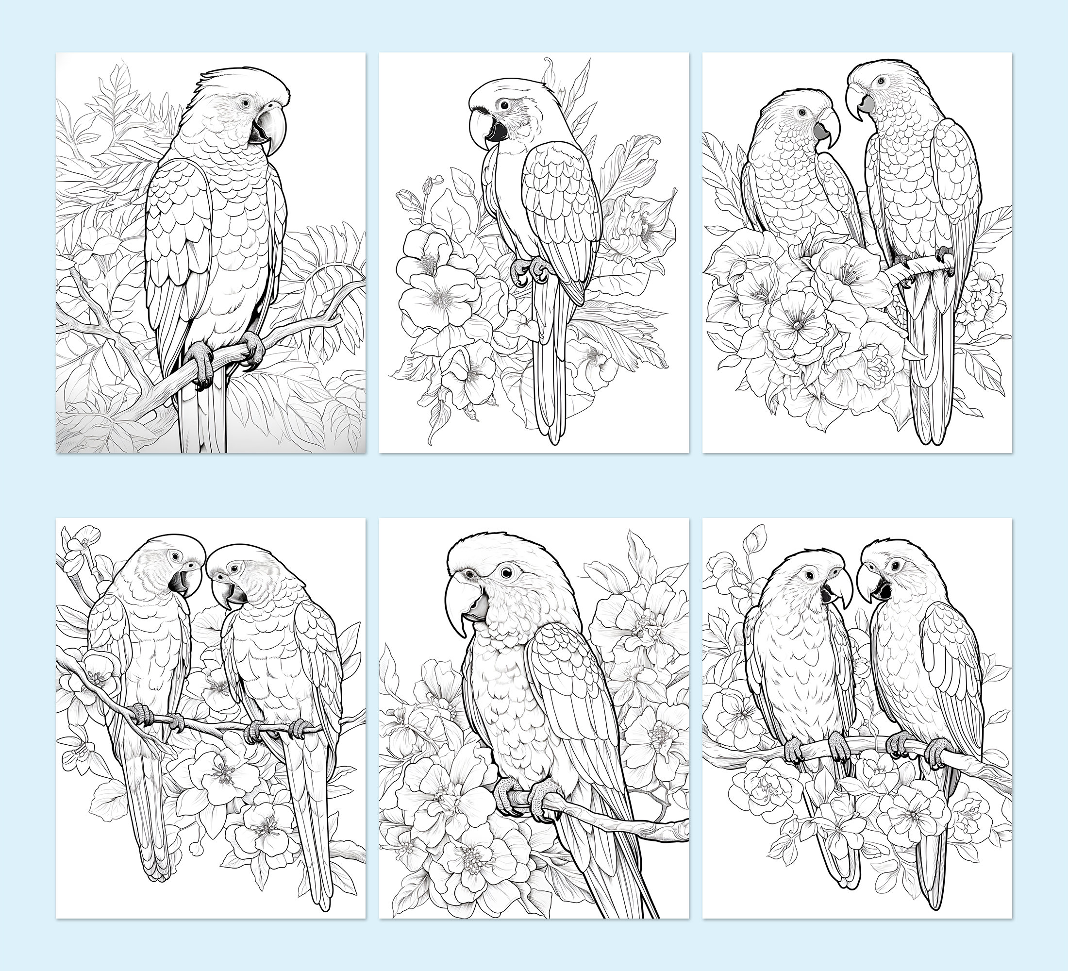 Parrots Flowers Cute Birds Coloring Book Adults Kids Activity Pages ...