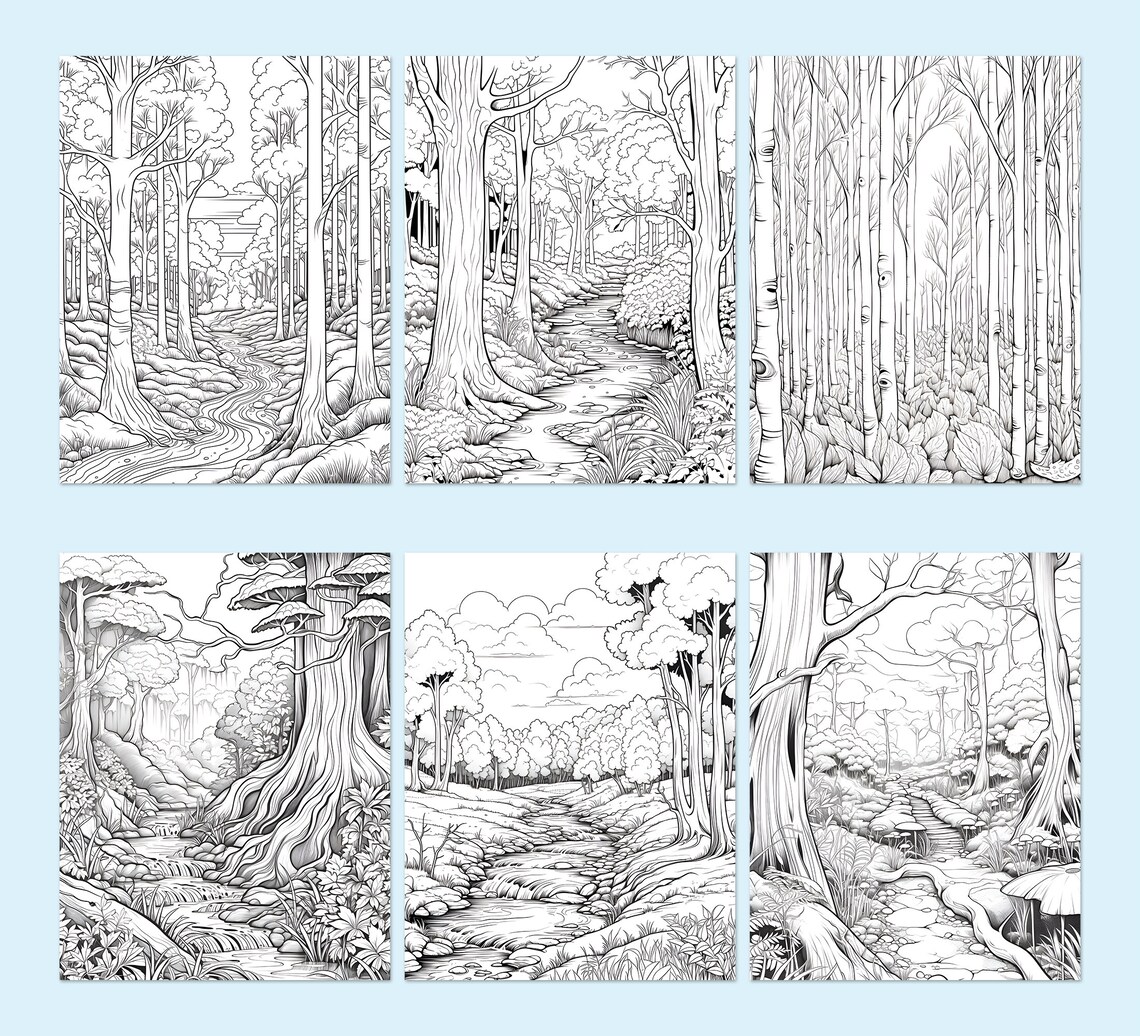 Forest Landscape Coloring Book Adults Activities Kids Activity ...